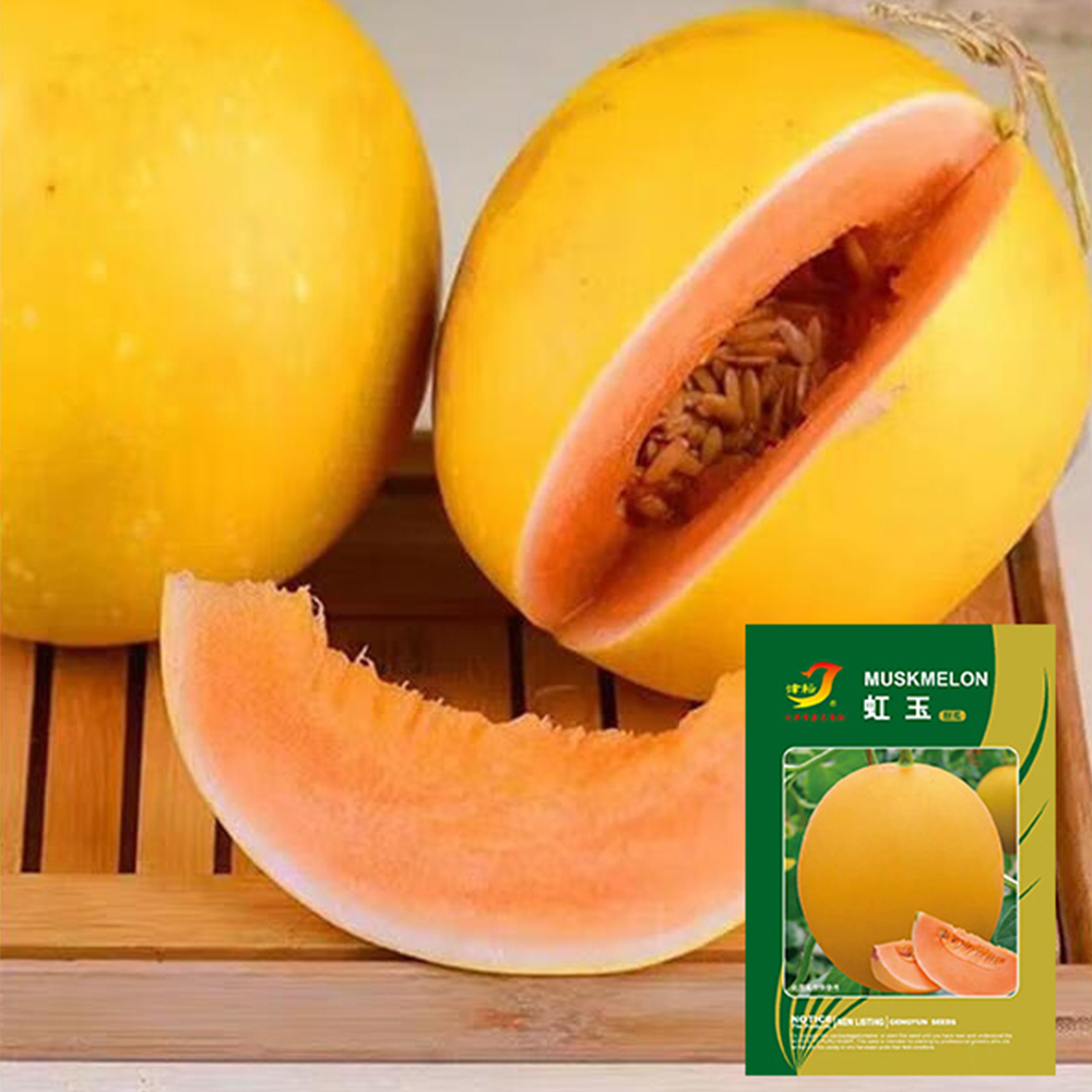 Hongyu Muskmelon Seeds: Newly Bred, High Yield & Sweet Variety