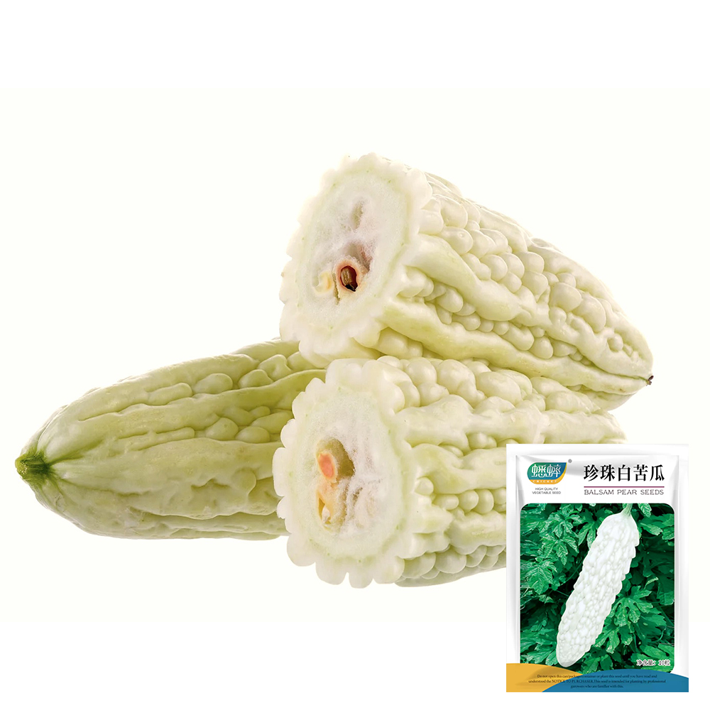 Pearl White Bitter Melon Seeds – High-Yield & Low-Bitter